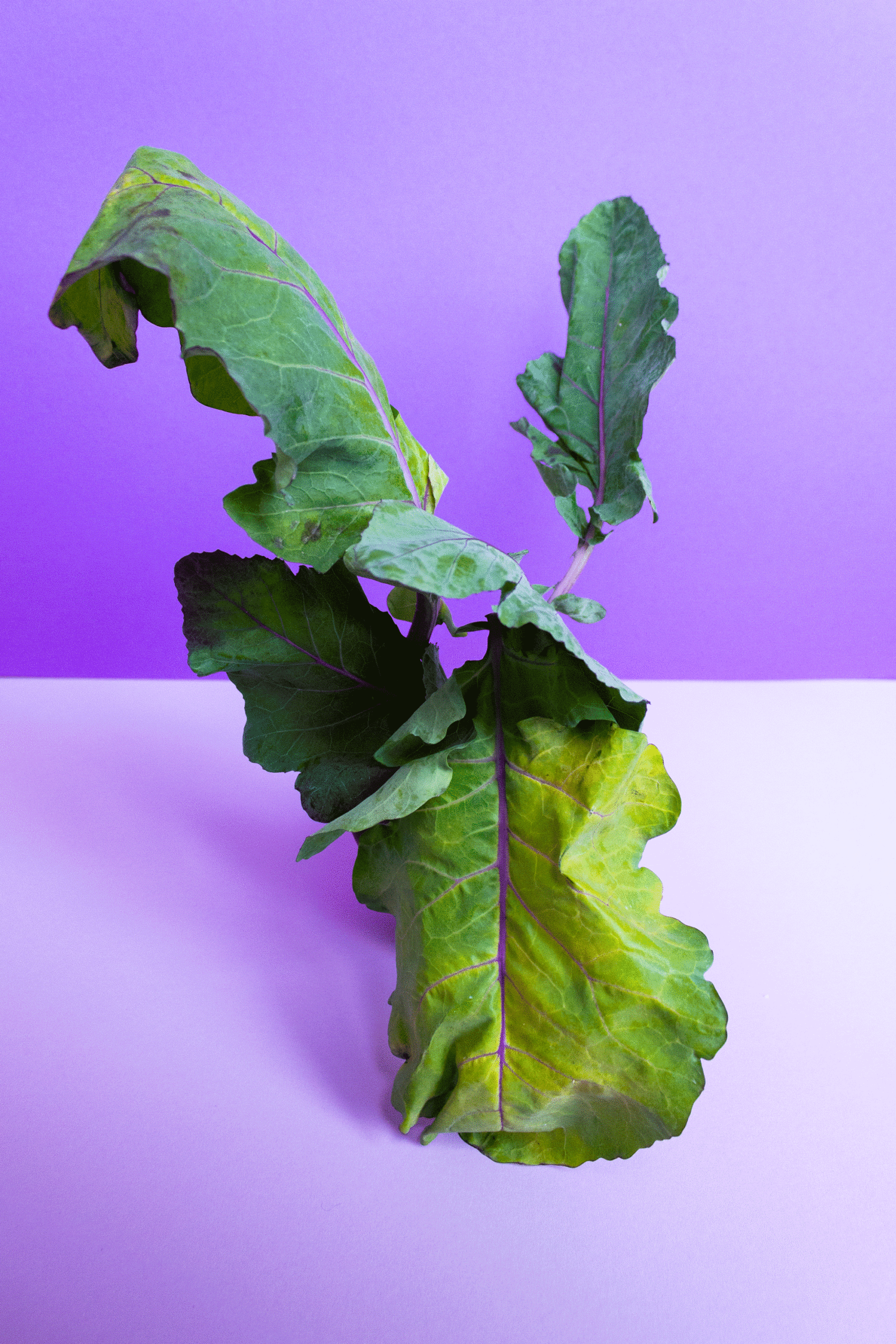 itskat.de – Contentproduktion Foto & Design